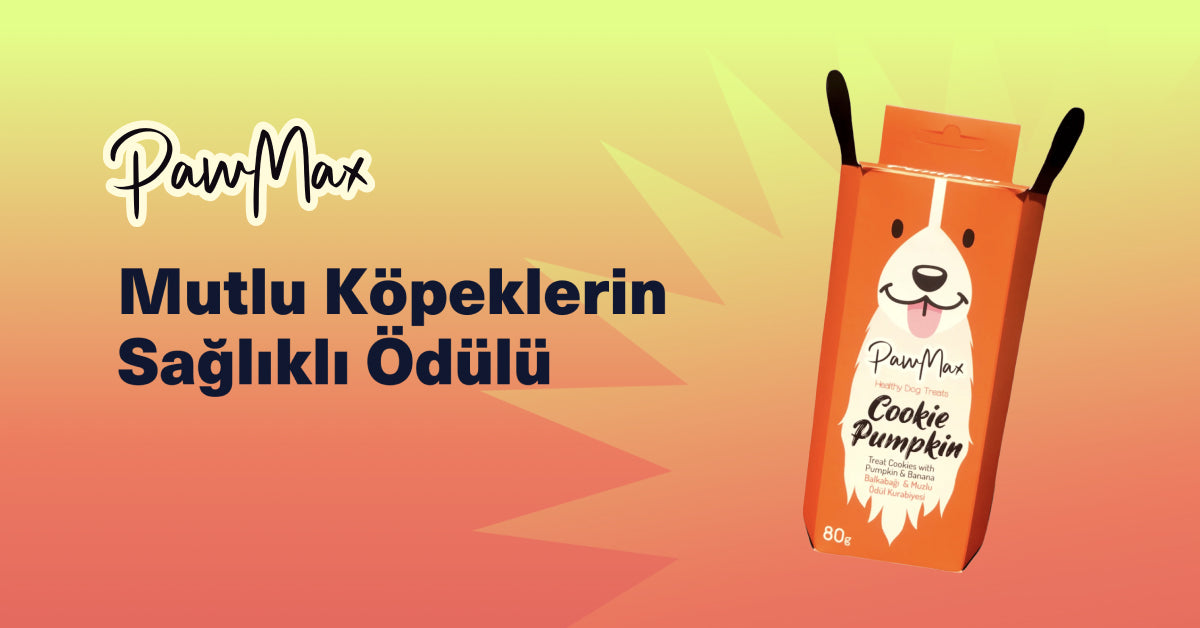 Pawmax | Onların Mutluluğu için %100 Doğal Köpek Ödül Maması – Pawmax.pet