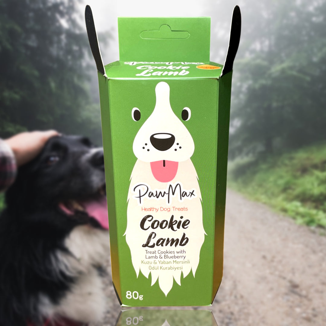 Pawmax | Onların Mutluluğu için %100 Doğal Köpek Ödül Maması – Pawmax.pet